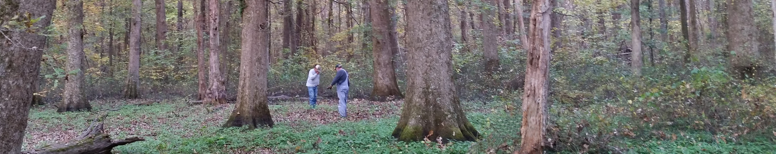 Our Research | Ames AgResearch and Education Center