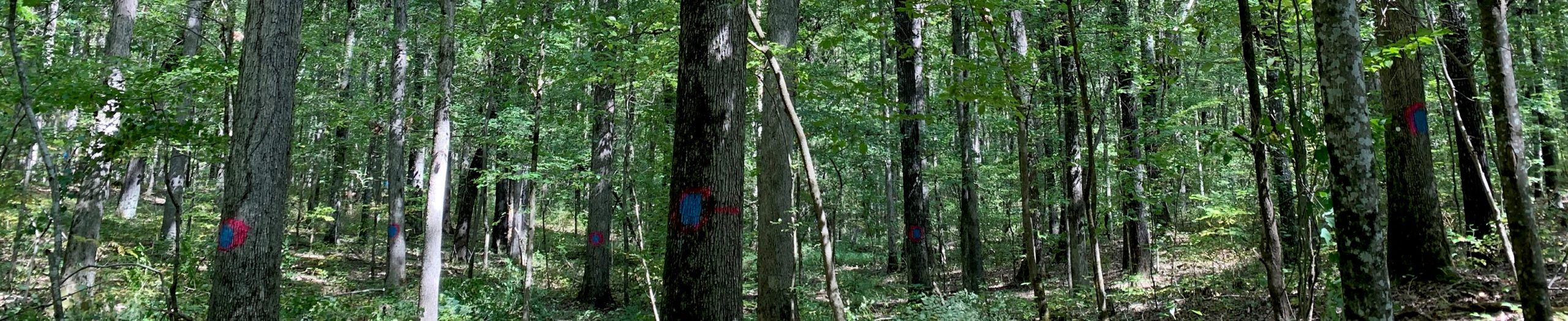 Crop Tree Enhancement | Ames AgResearch and Education Center