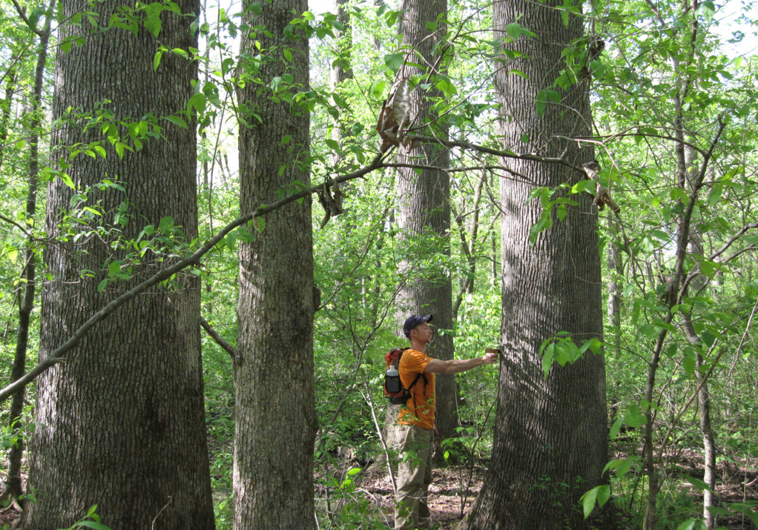 Forestry Camp | Ames AgResearch and Education Center