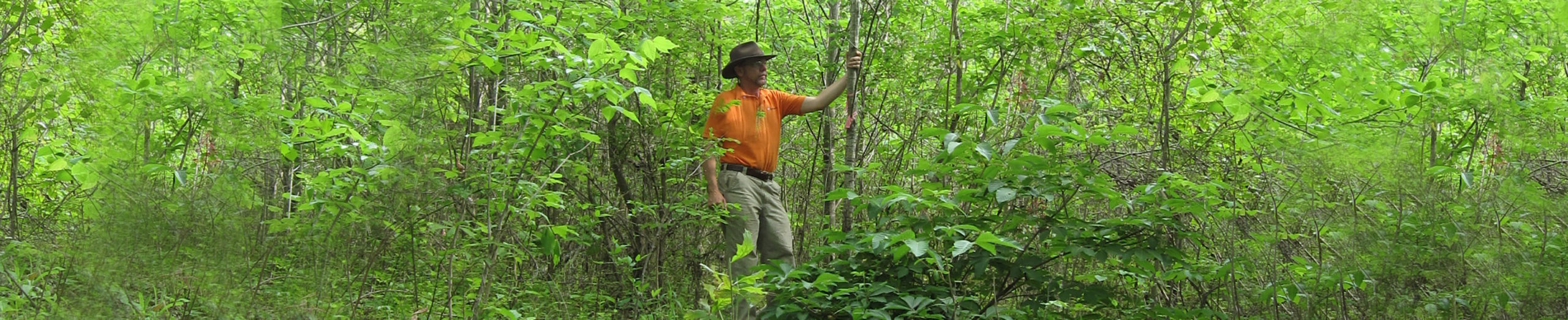 Precision Forestry | Ames AgResearch and Education Center