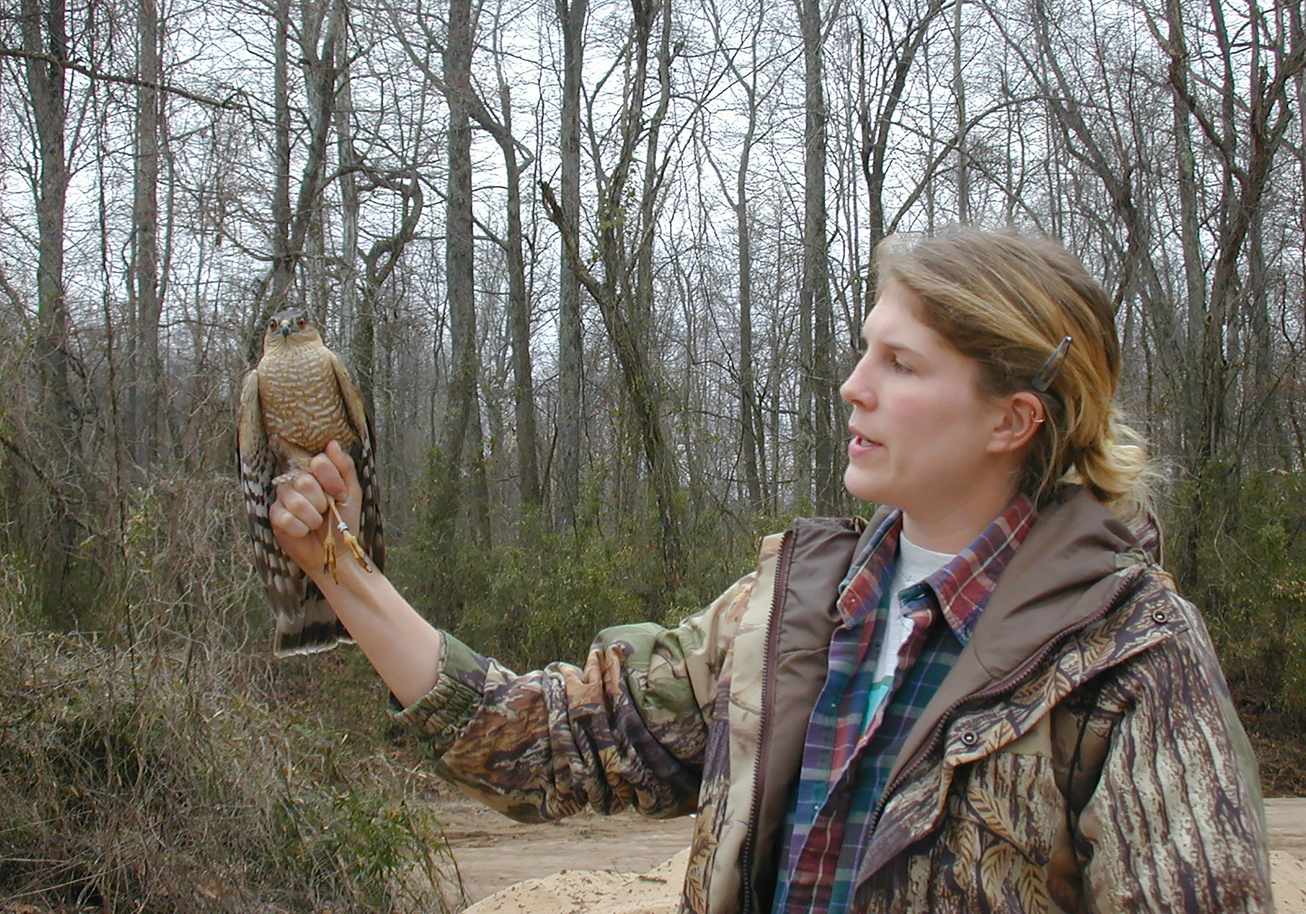 Wildlife Research | Ames AgResearch and Education Center